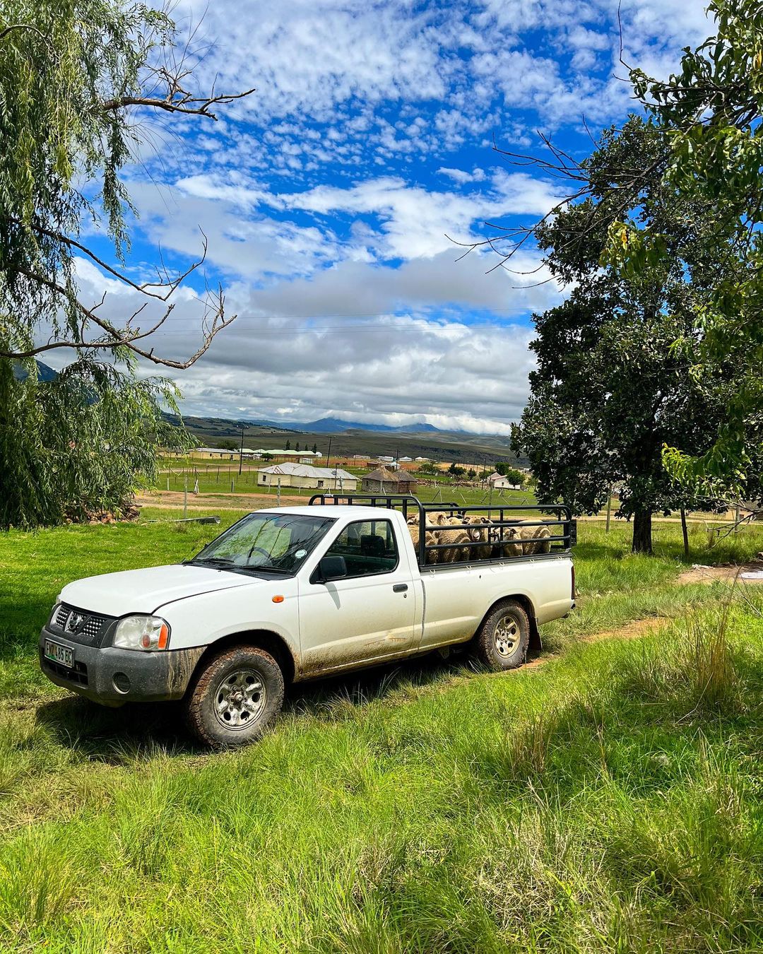In Pictures: Generations The Legacy actress Pamela Khoza owns a farming business in real life