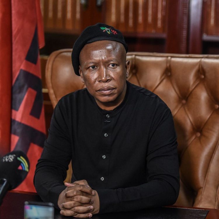 He is a genius: Julius Malema's academic qualifications stun Mzansi
