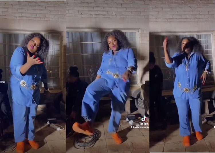 DiepCity - Savanna News